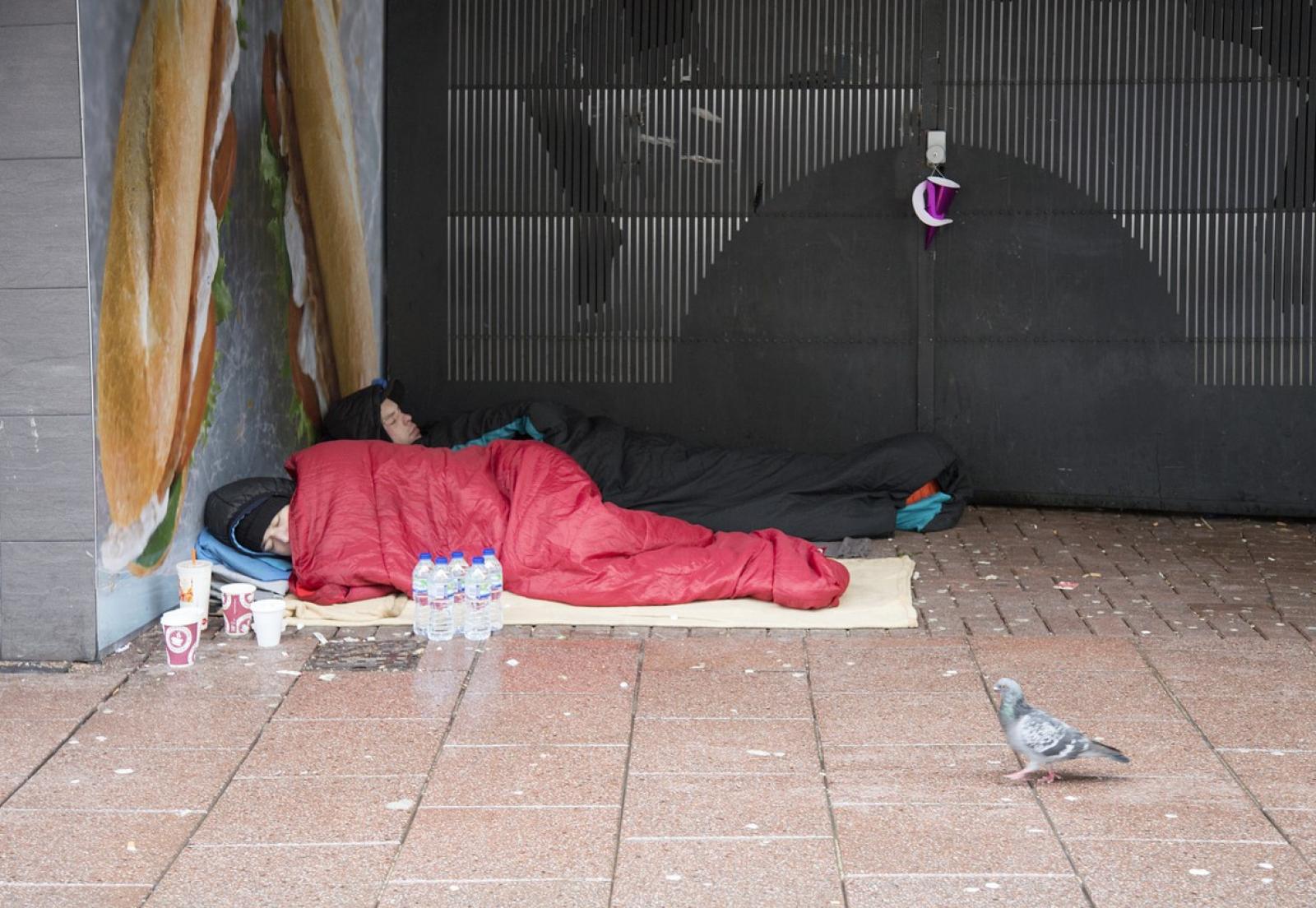 Housing hope for the future | Public Sector News Housing hope for the future | Public Sector News